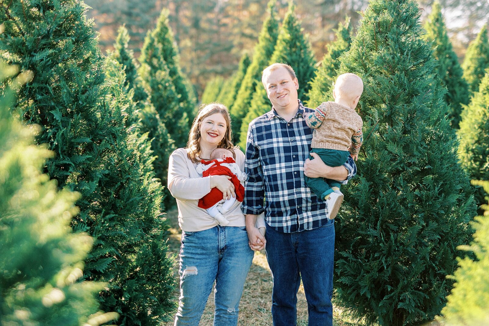 Holiday Mini Sessions at Penland Christmas Tree Farm