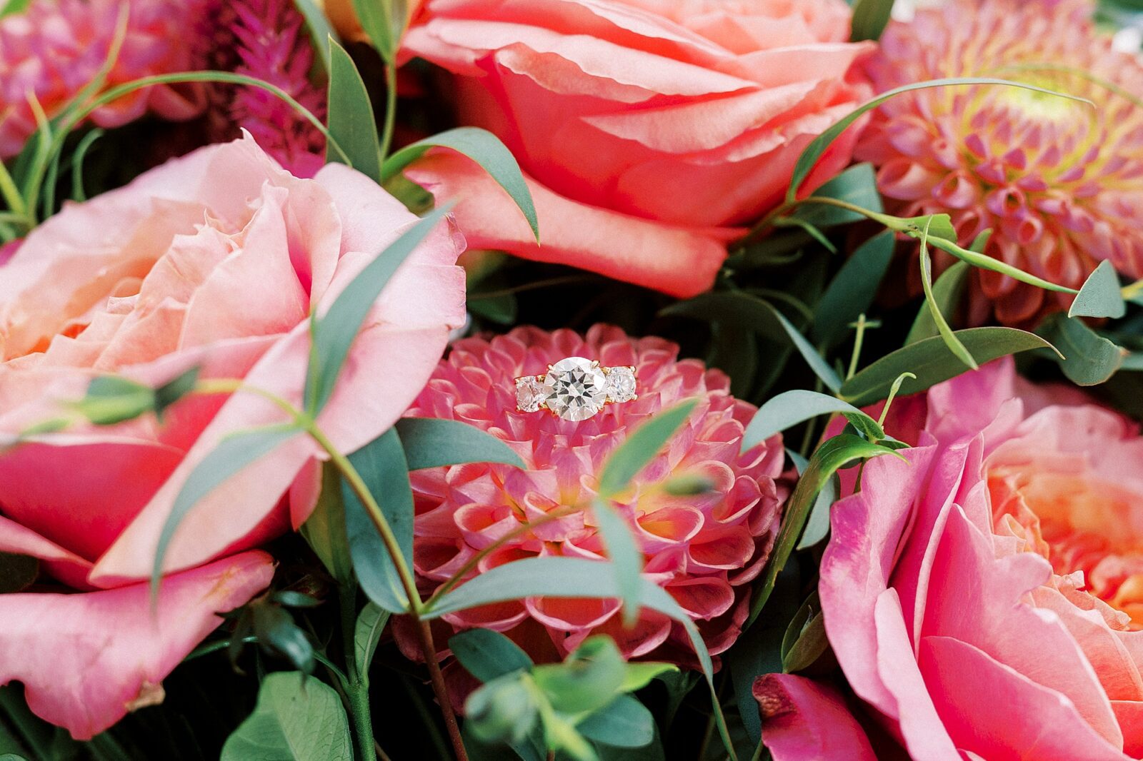 Wedding at Whitehead Manor in Charlotte NC